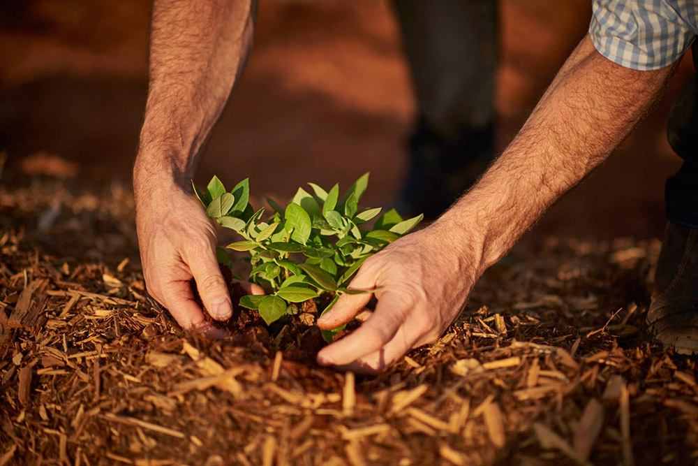 Smart Berries on Queensland Weekender – Smart Berries